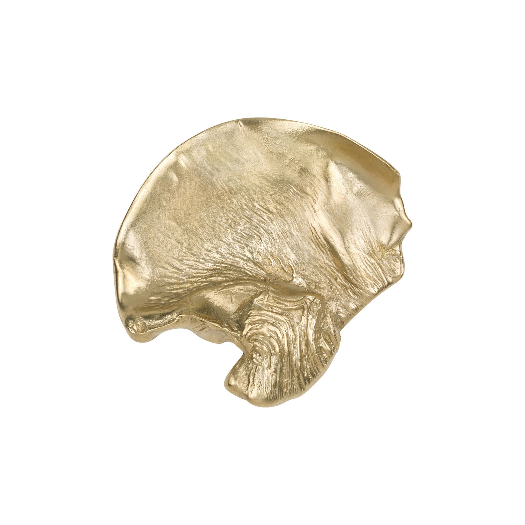 Fold Pull – Studio Marchant