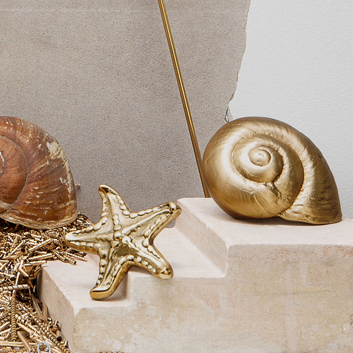 Shell Cup Pull – Studio Marchant