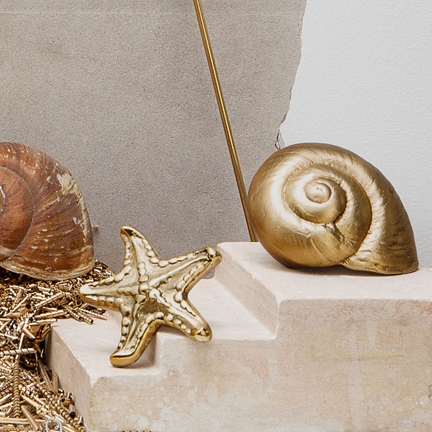 Shell Cup Pull – Studio Marchant